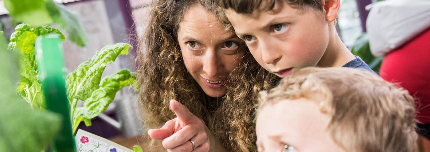 Citizen Science - Operation Earth